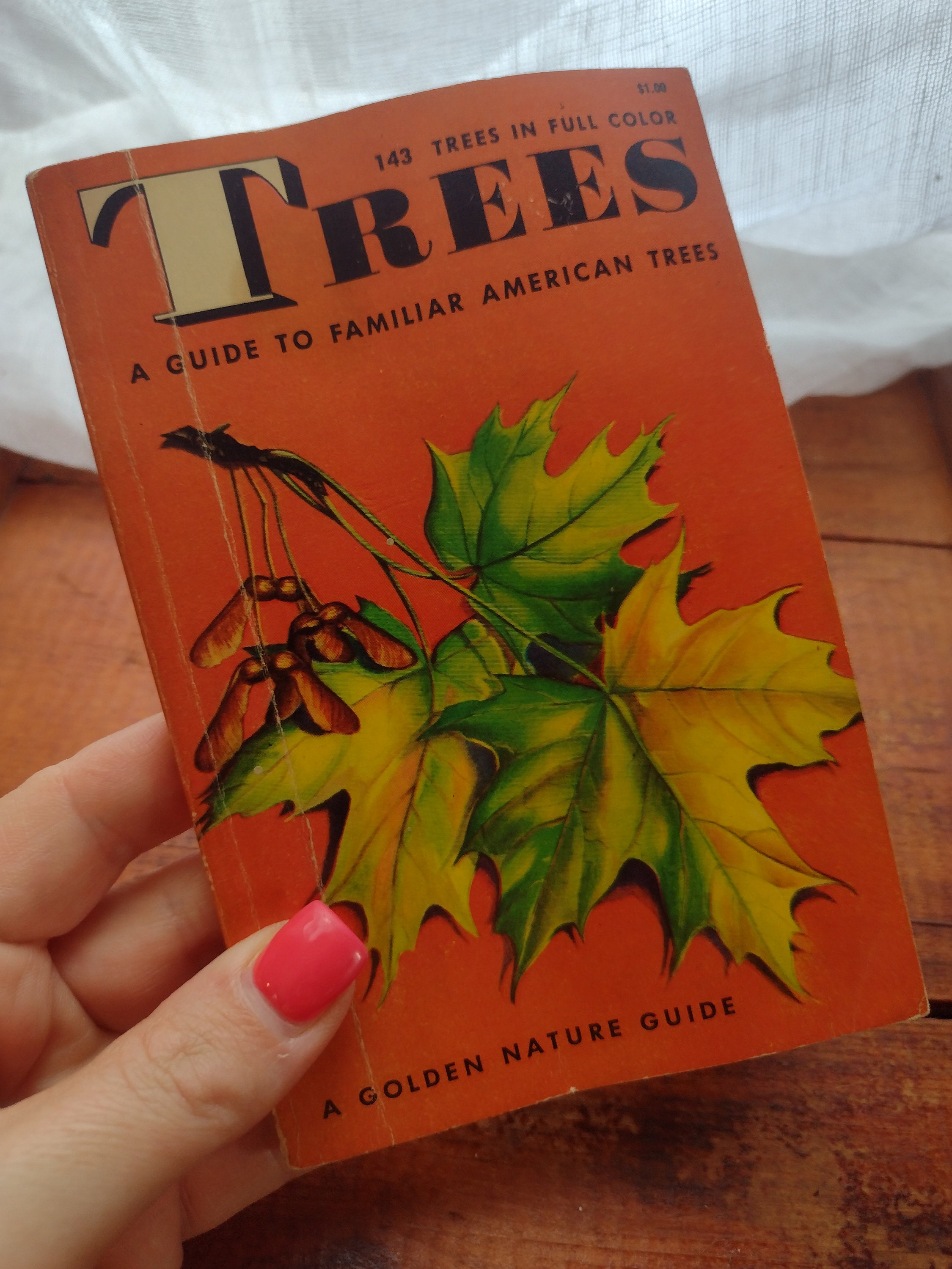 Trees A Golden Nature Guide Familiar American Trees Herbert S. Zim ...