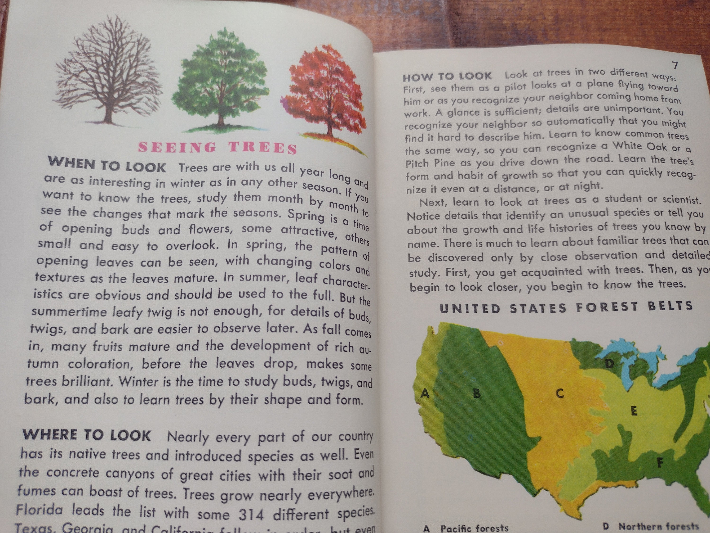 Trees A Golden Nature Guide Familiar American Trees Herbert S. Zim ...