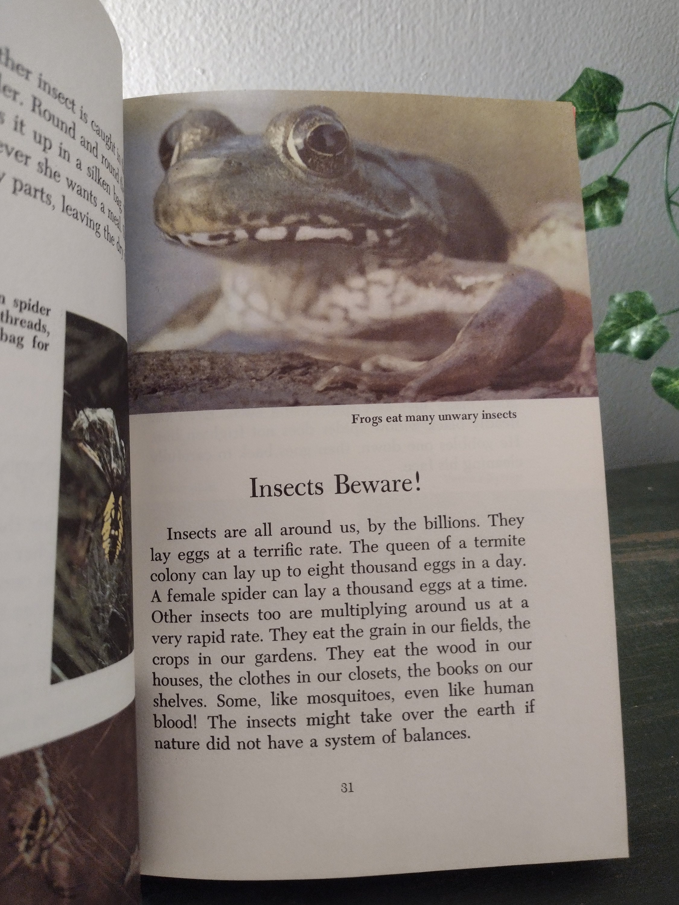 Walt Disney True-life Adventuresvintage Children's Book - Etsy