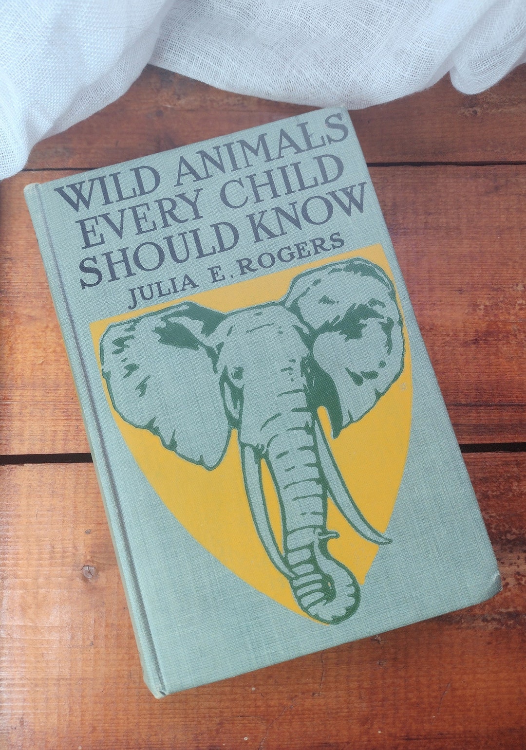 Wild Animals Every Child Should Know, Julia E Rogers,1911 School Book ...