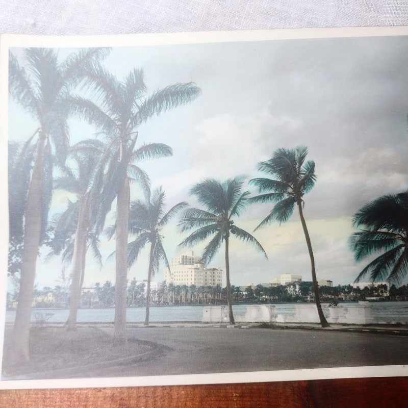 Old Florida Photo - Etsy