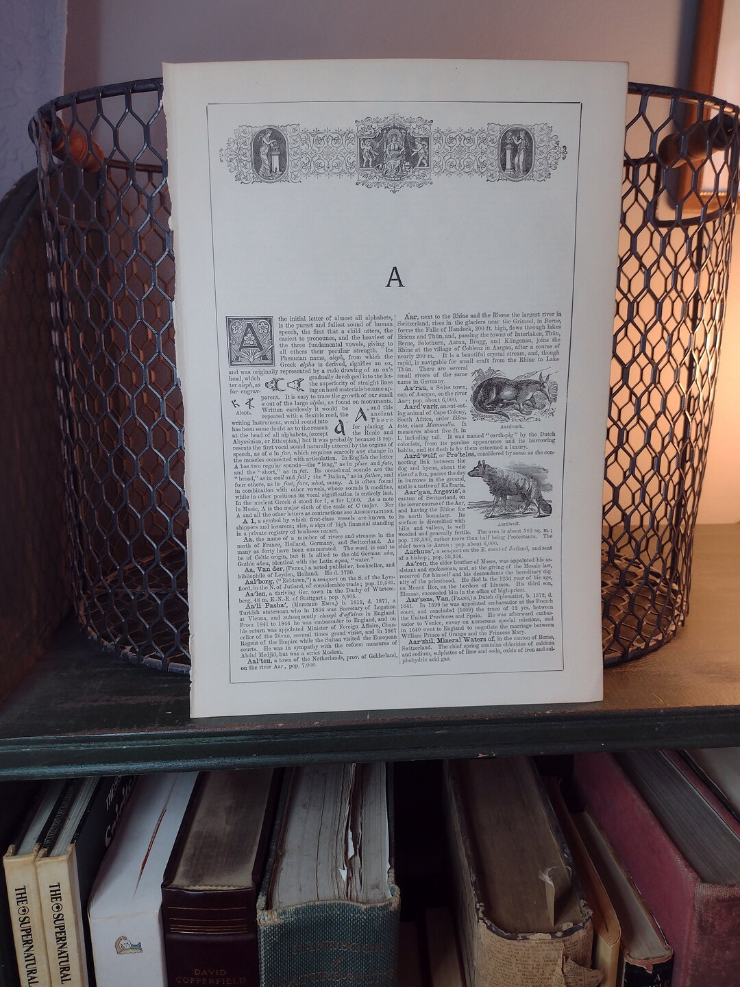 Letter A Print, Encyclopedia Print, Antique,1889,vintage Letter Print,a ...