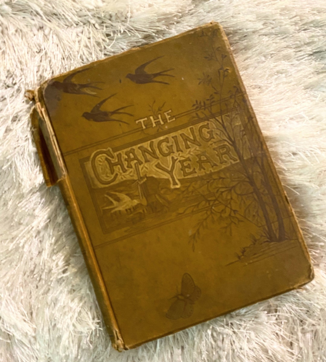 The Changing Year: Being Poems and Pictures of Life and Nature 1883 - Etsy