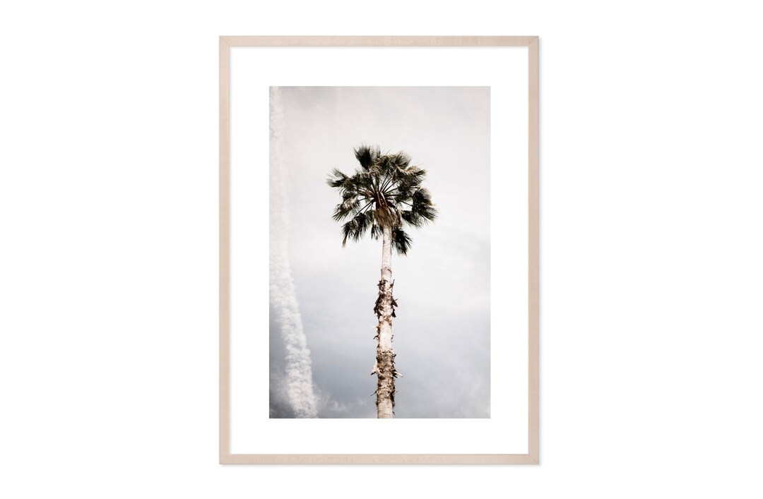 Palm Tree Digital Download - Etsy