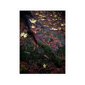 Sticker Decal PNW Tree Roots Camping Journaling Personalization - Etsy