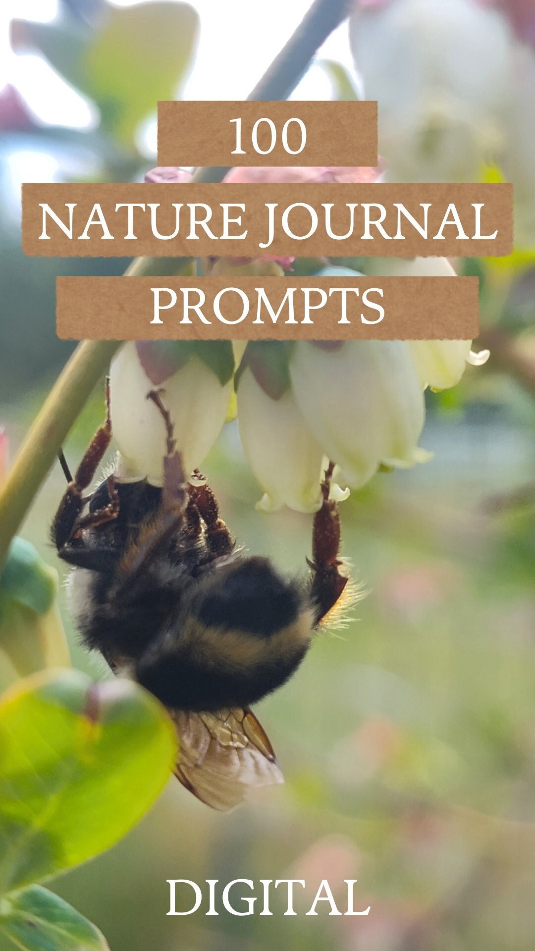 Nature Journal Prompts 100 Journaling Prompts for Writers - Etsy