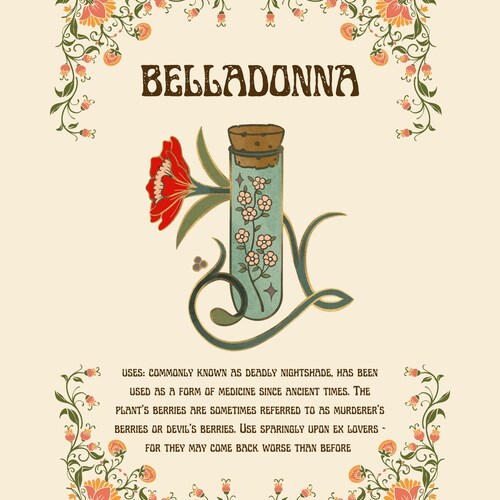 Sally Owens Practical Magic Fine Art Print Digital Art - Etsy