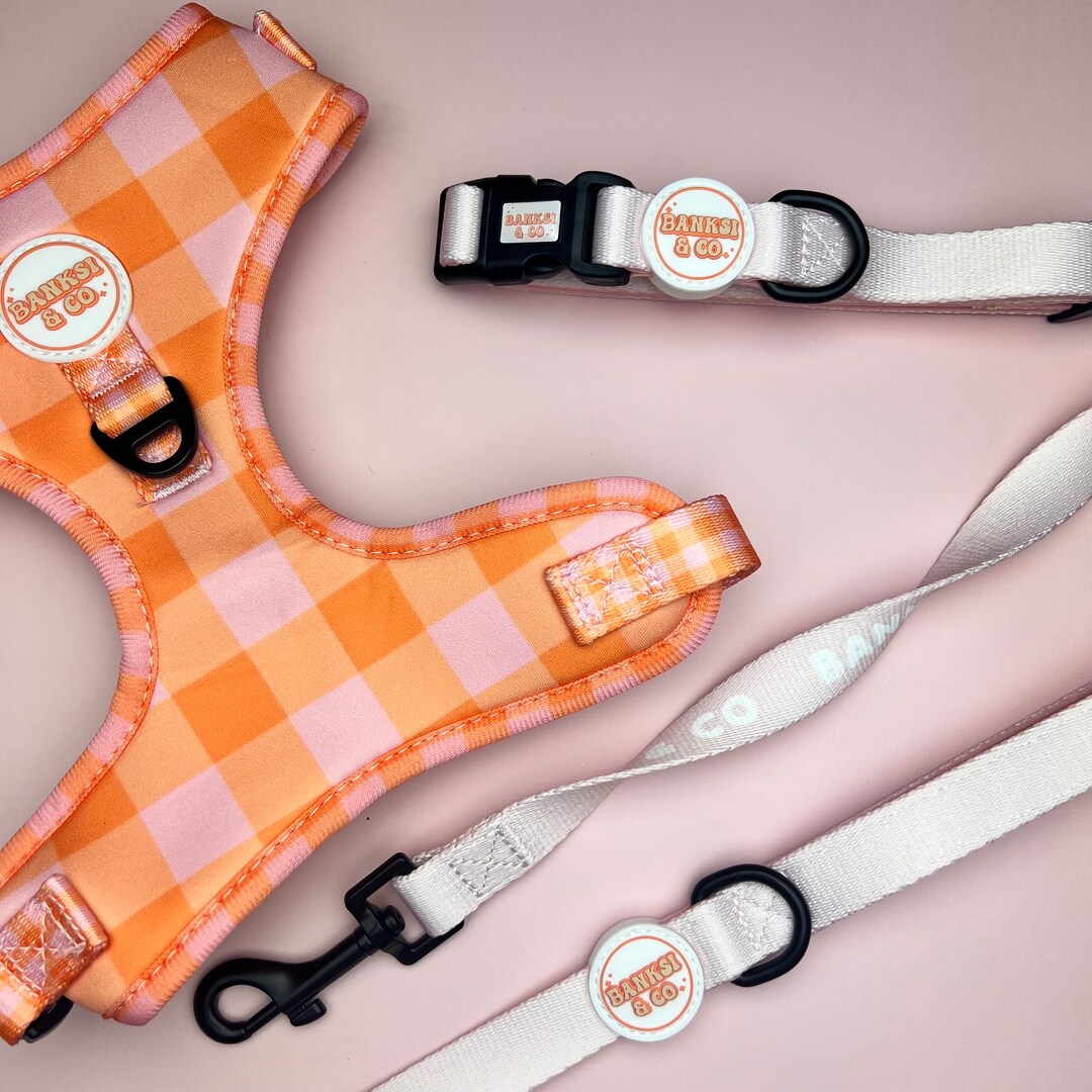 Pink Dog Harness Set - Etsy