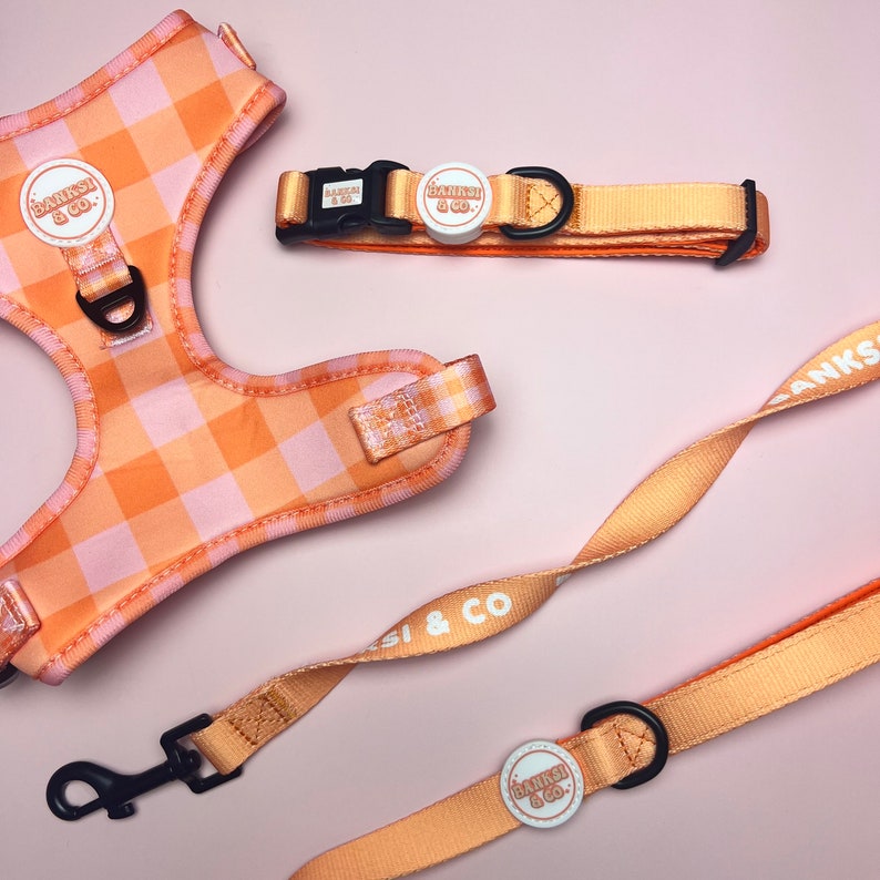 Orange Dog Harness Set - Etsy