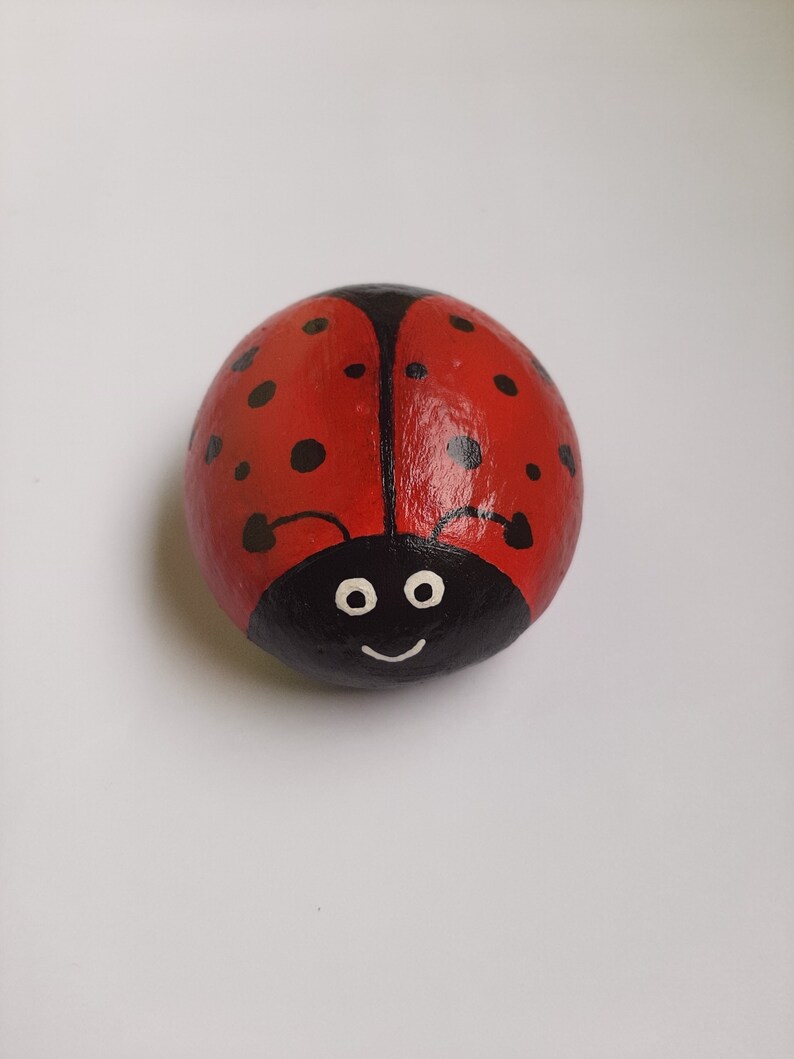 5pcs Rock Painting, Stone Painting Ideas Easy, Ladybug Painted Rock ...