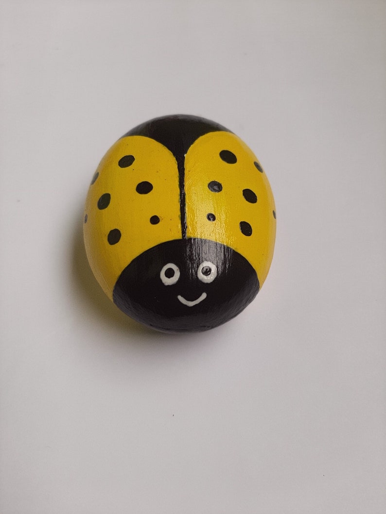 5pcs Rock Painting, Stone Painting Ideas Easy, Ladybug Painted Rock ...