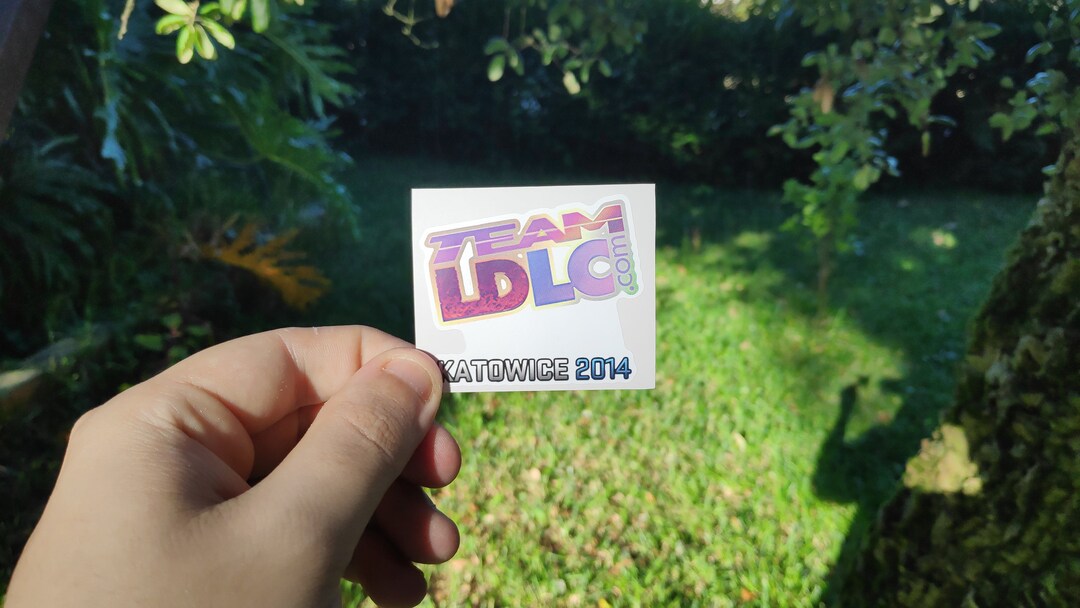 Team Ldlc.com Holo Katowice 2014 CSGO CS Counter Strike CS2 Sticker (no ...