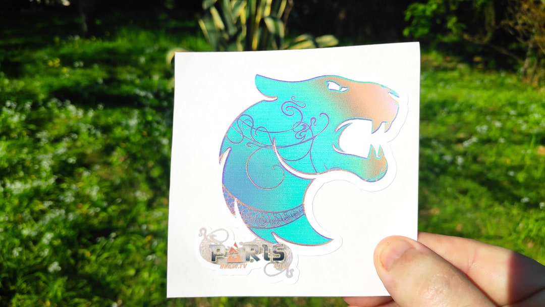FURIA Holo Paris 2023 CSGO CS Counter Strike Sticker no Effect - Etsy