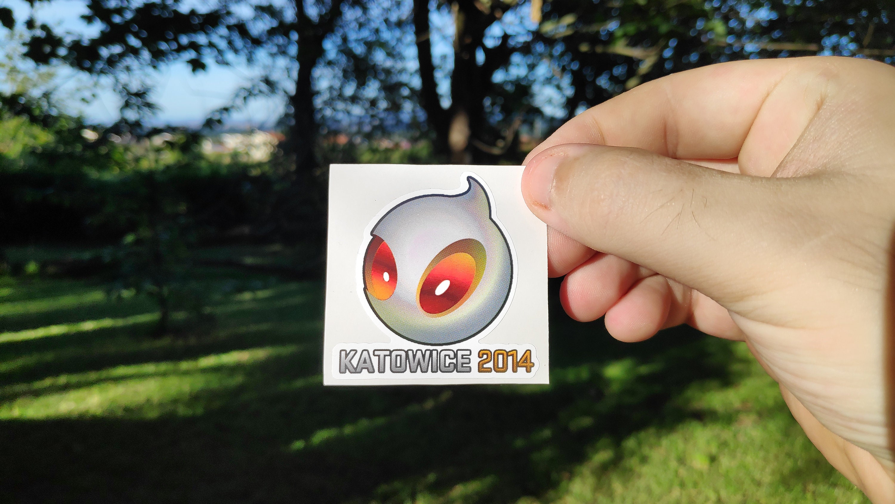 Team Dignitas Holo Katowice 2014 CSGO CS Counter Strike - Etsy