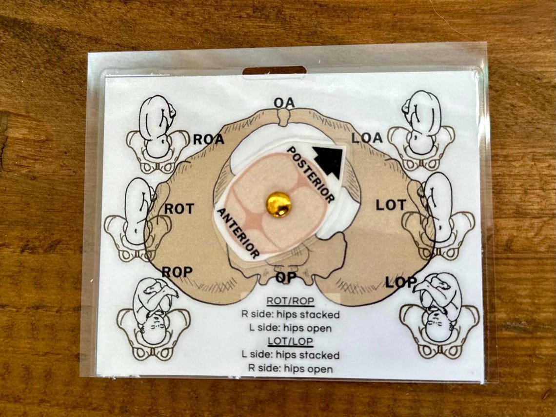 Fetal Positioning Badge Buddy - Etsy
