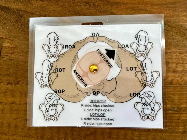 Fetal Positioning Badge Buddy - Etsy