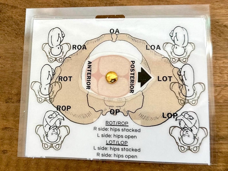 Fetal Positioning Badge Buddy - Etsy