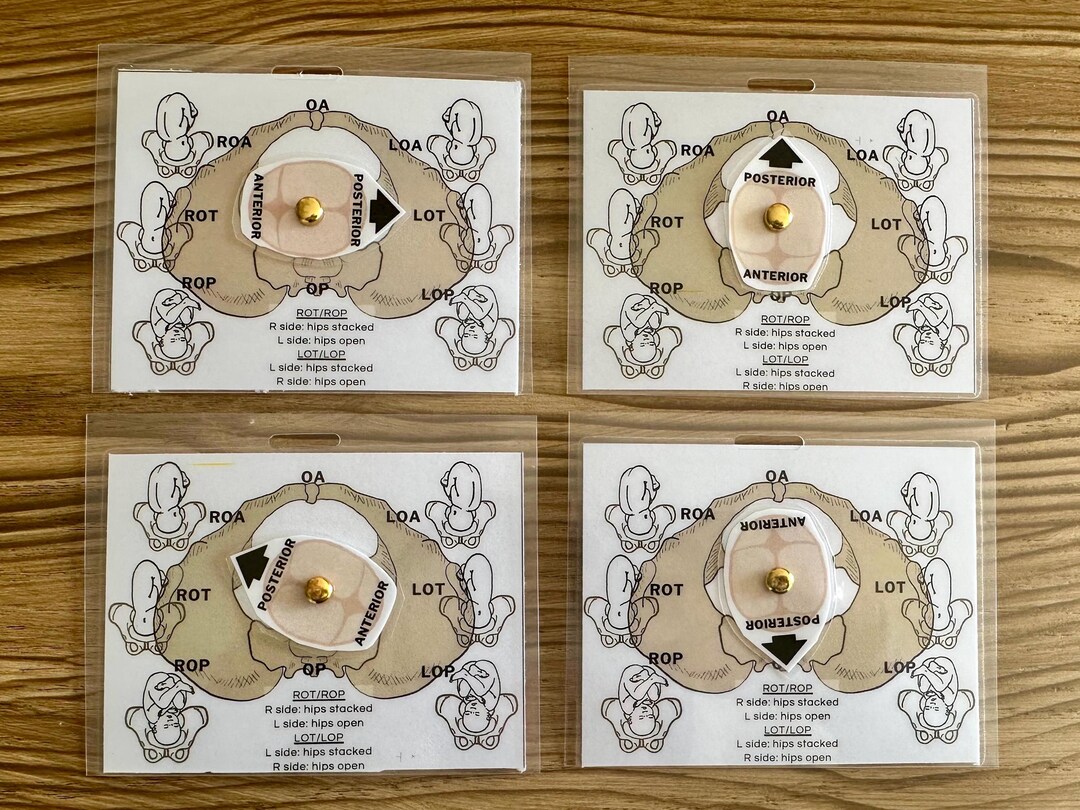 Fetal Positioning Badge Buddy - Etsy