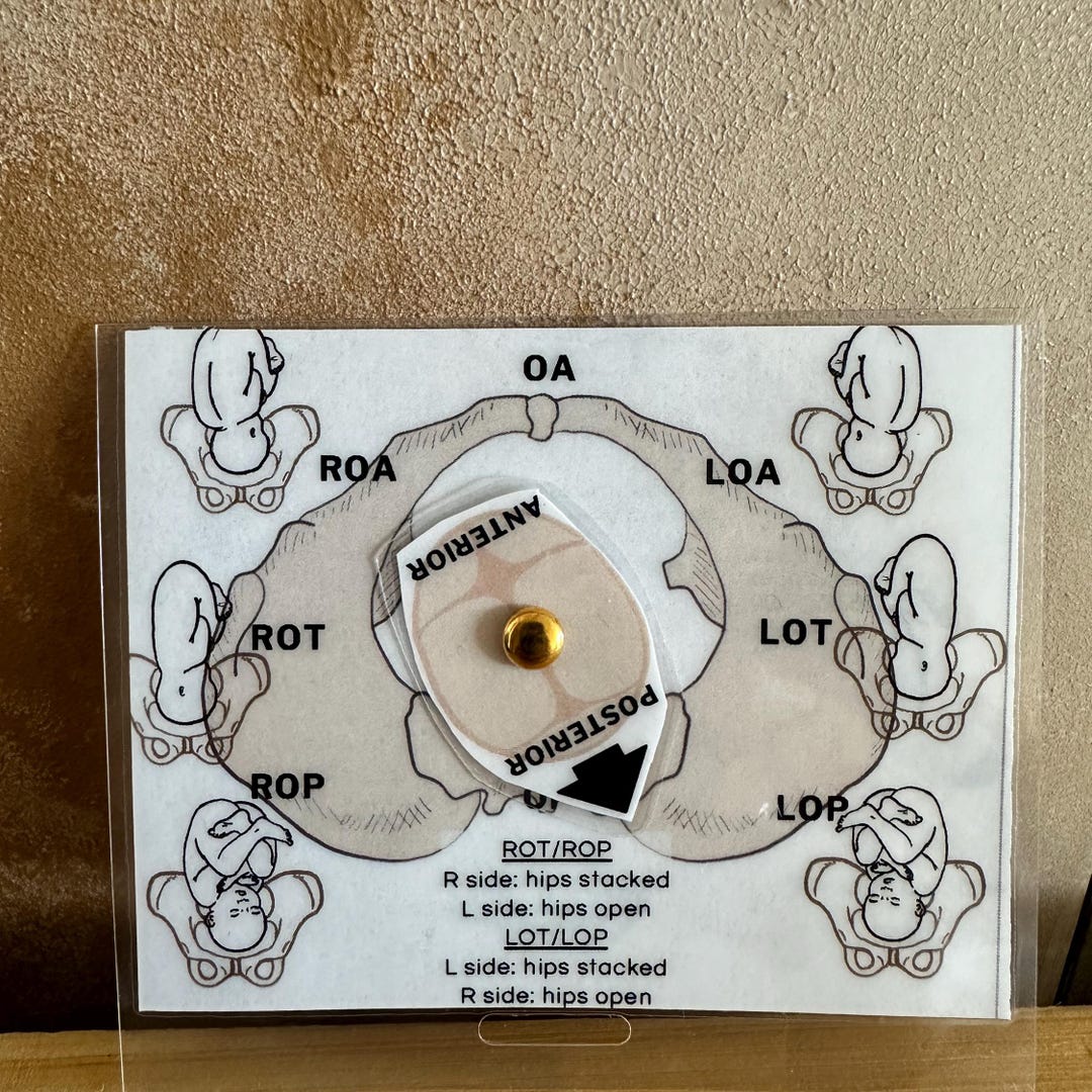 Fetal Positioning Badge Buddy - Etsy