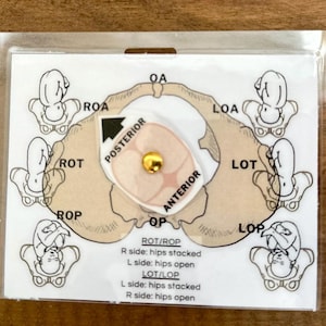 Fetal Positioning Badge Buddy - Etsy
