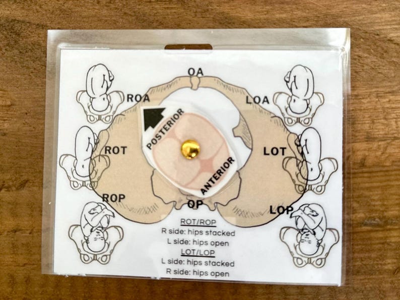 Fetal Positioning Badge Buddy - Etsy