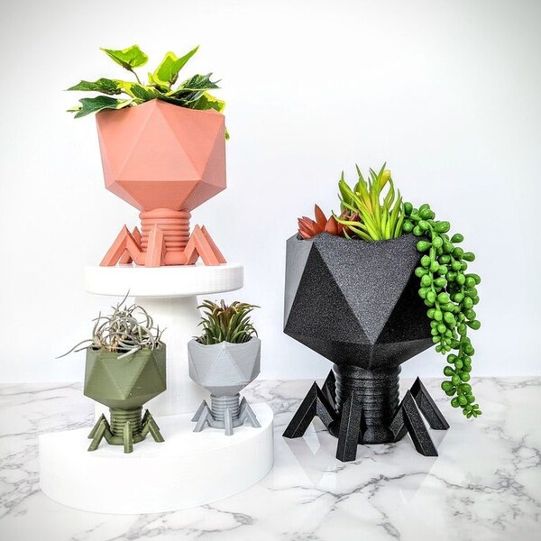 Science Decor - Etsy