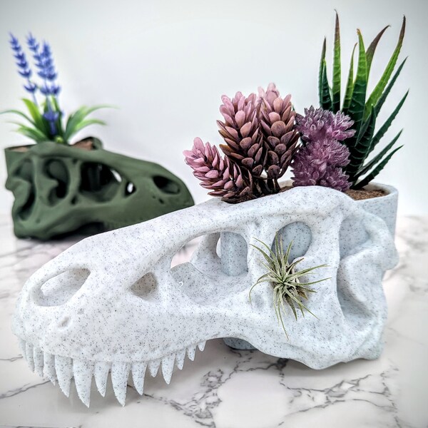 Dinosaur Plant Pot - Etsy