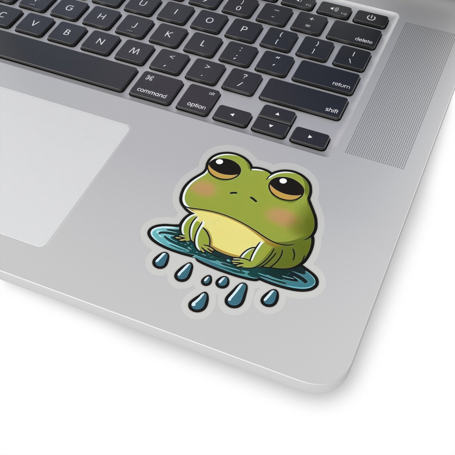 Frog Sticker Droopy Kawaii Water Bottle Sticker Laptop Sticker Vinyl ...