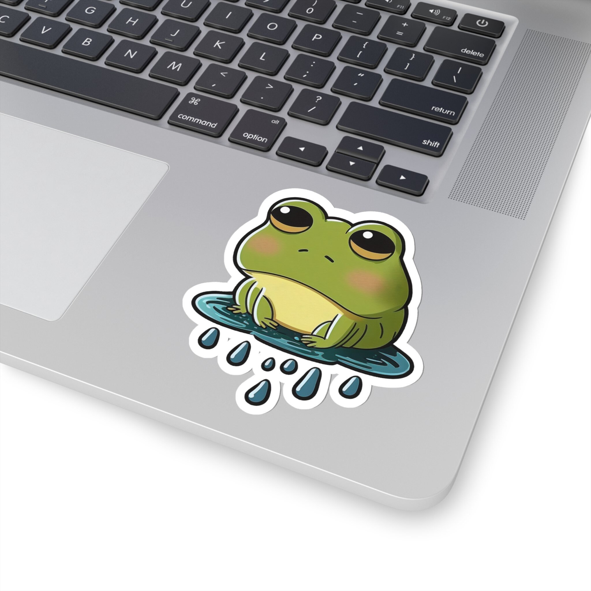 Frog Sticker Droopy Kawaii Water Bottle Sticker Laptop Sticker Vinyl ...