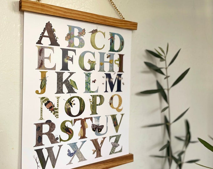 Insect Alphabet Chart Art Print - Etsy Canada