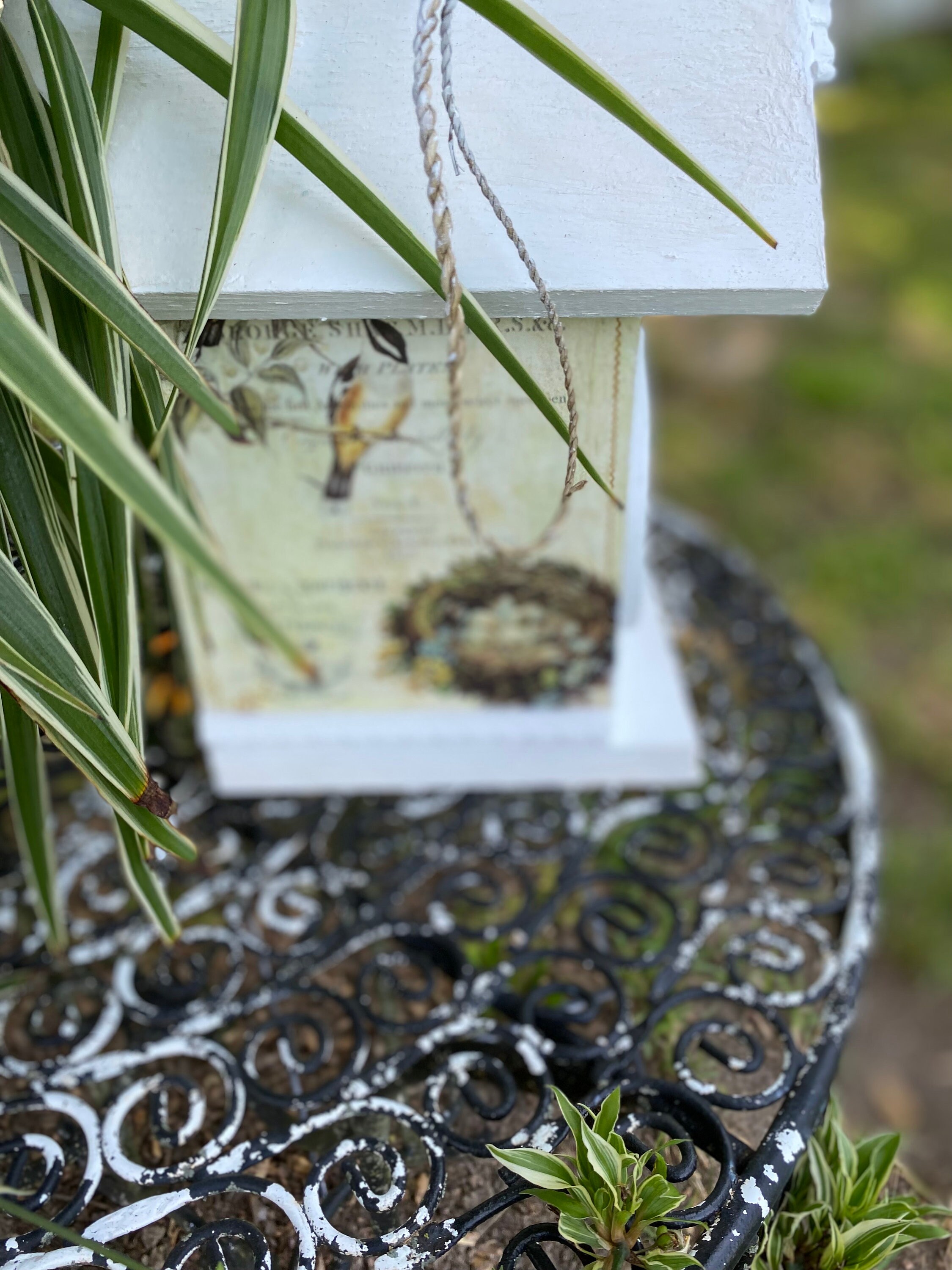 Charming Handmade Birdhouse - Floral Background With Birds and Nests ...