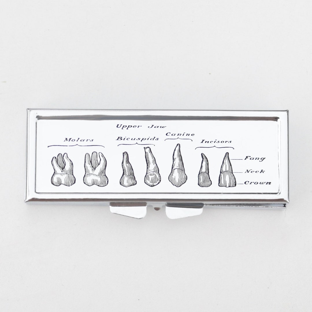 Upper Jaw Tooth Chart Pill Box - Dentist, Teeth, Tooth Artwork, Ortho ...