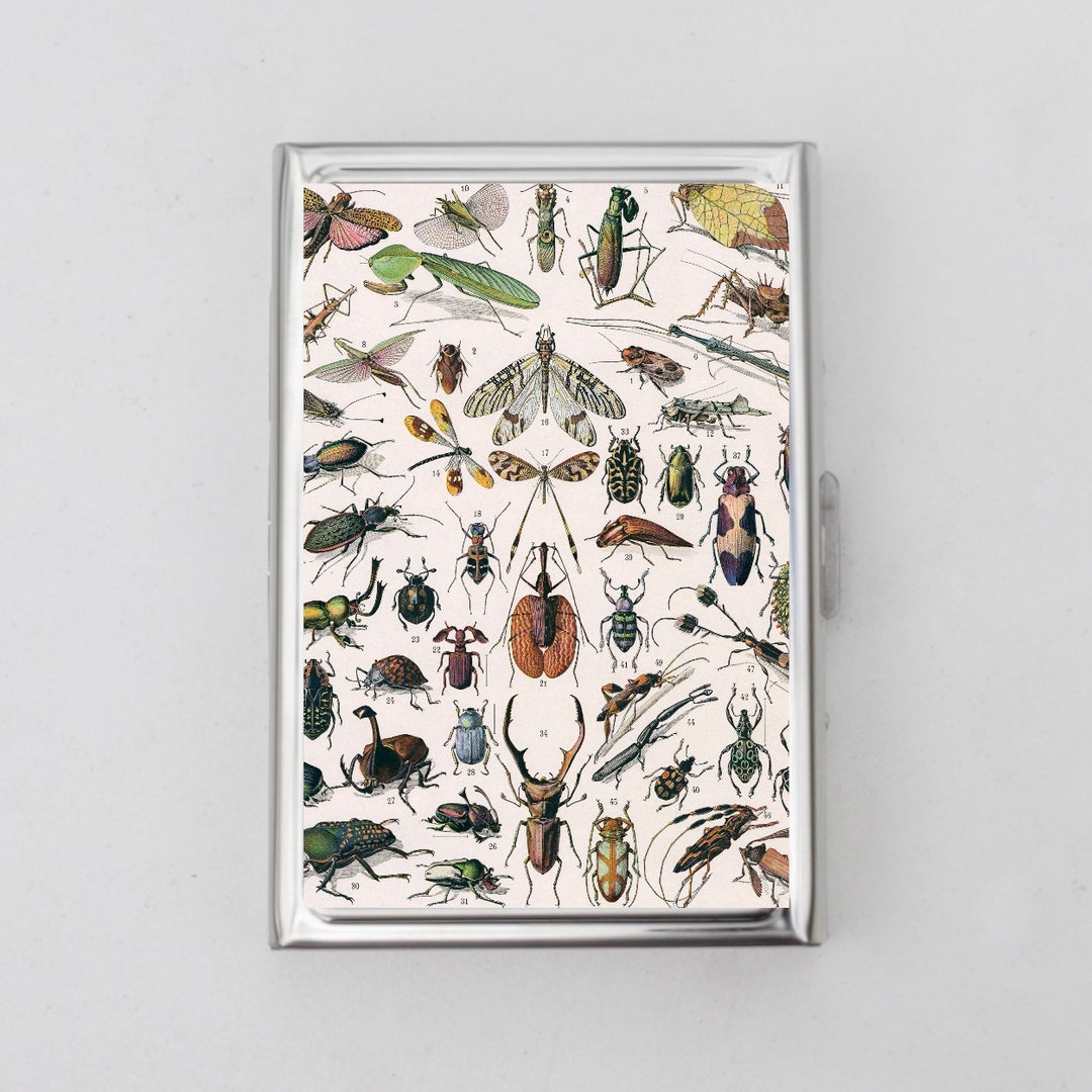 Bugs Chart Cigarette Case OR Card Holder Small Wallet Money - Etsy