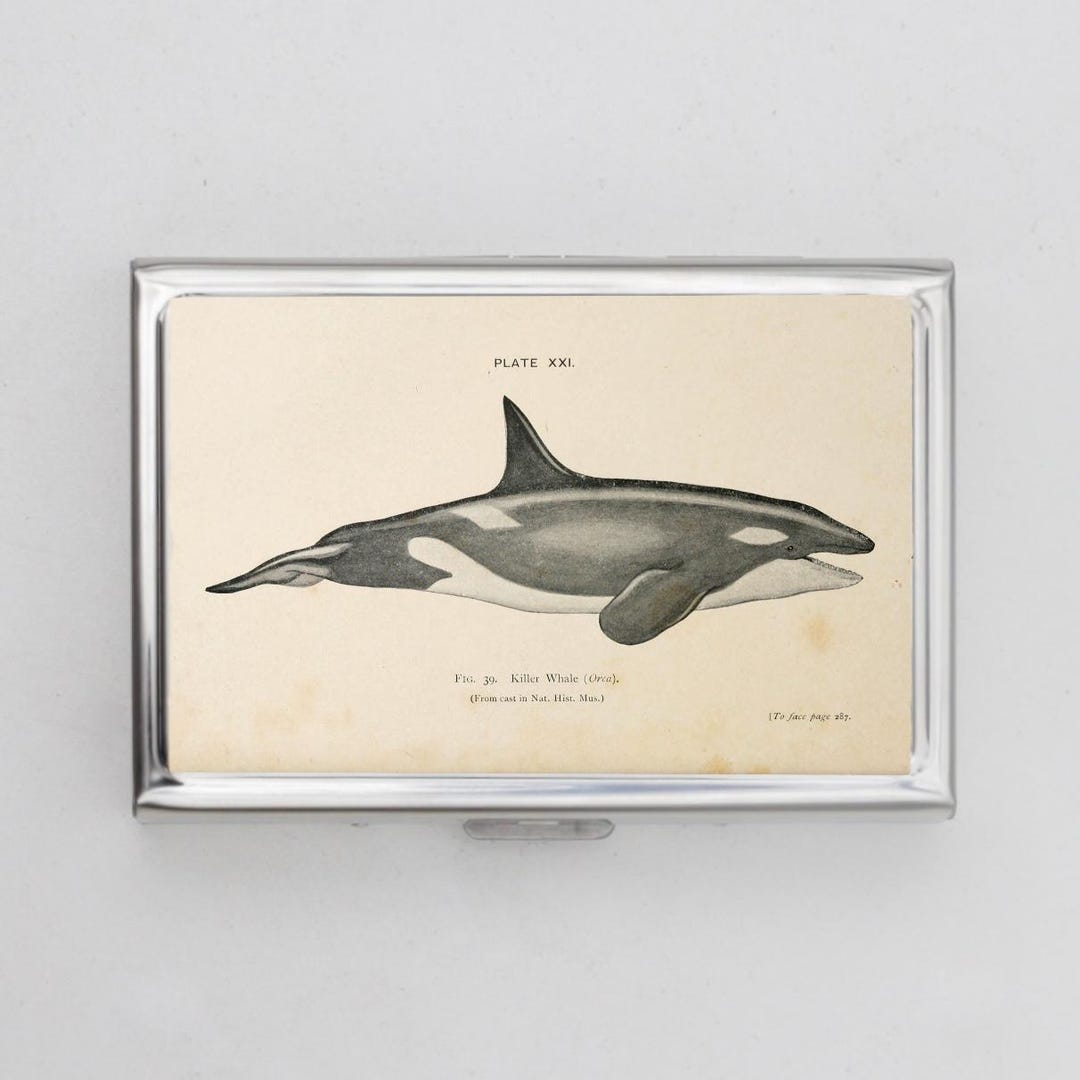 Orca Whale Life Cigarette Case OR Card Holder - Killer Whale, Blackfish ...