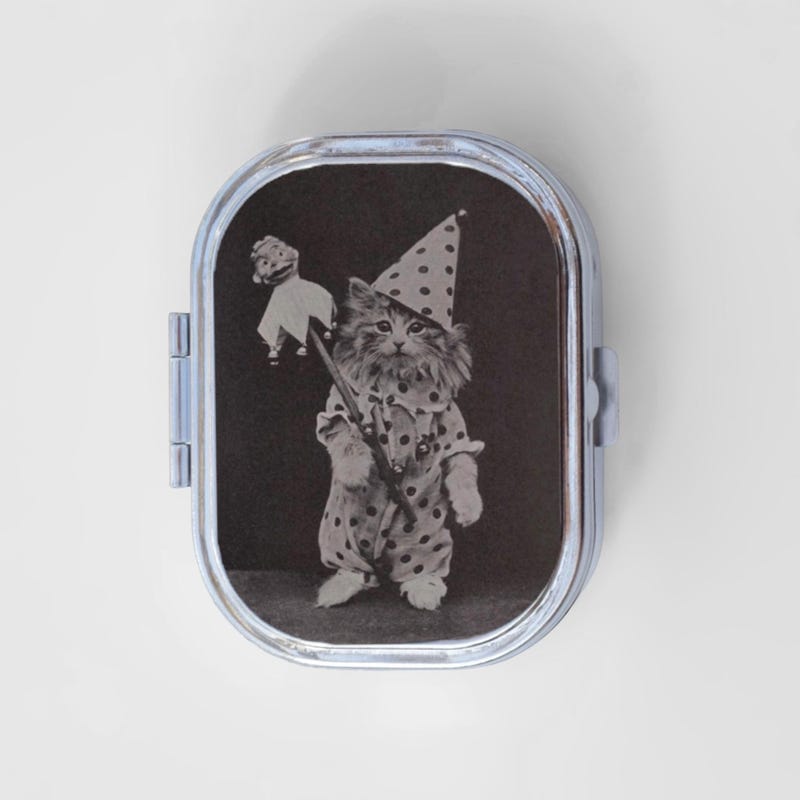 Cat Pill Box - Etsy