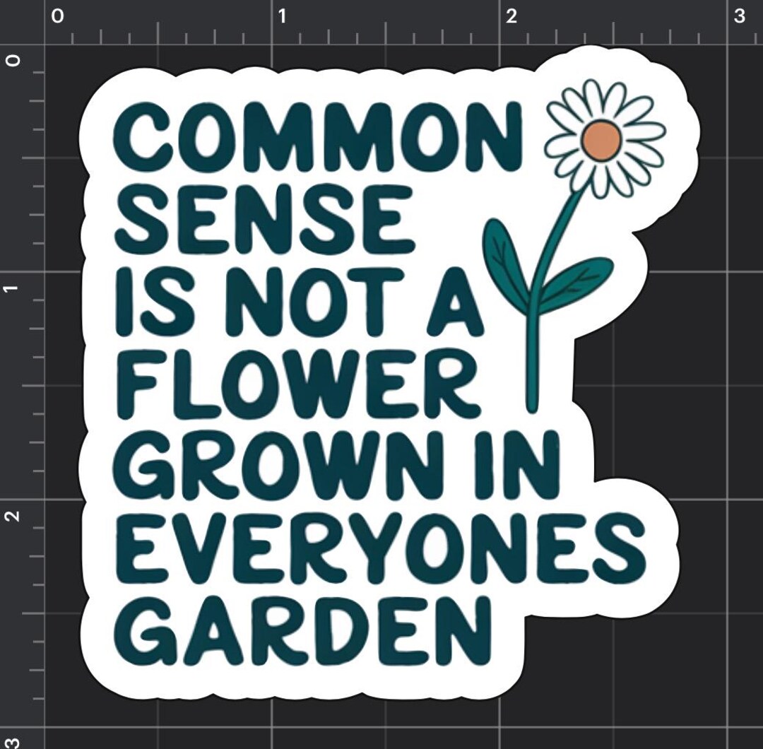 Common Sense Sticker / Funny Sticker / Gift for Him / Gift for Her ...