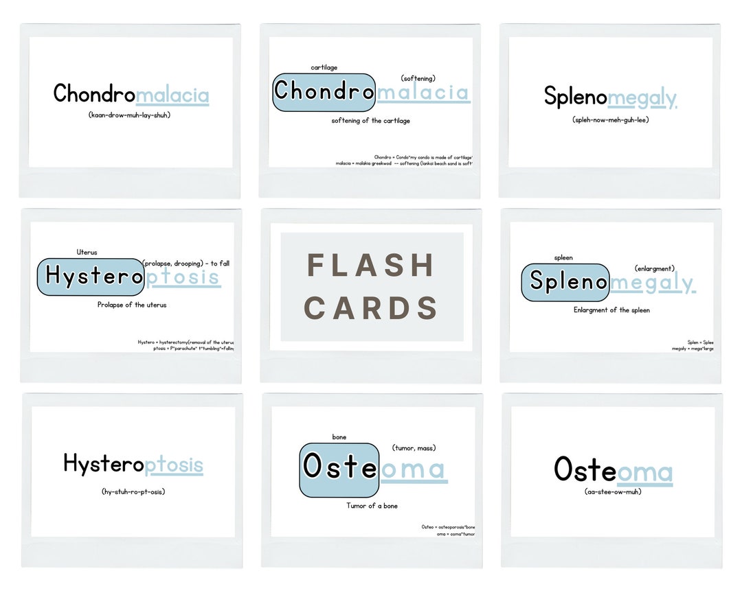 Medical Terminology Flashcards, Nurse Flashcards, Anatomy Physiology, Anatomy and Physiology ...