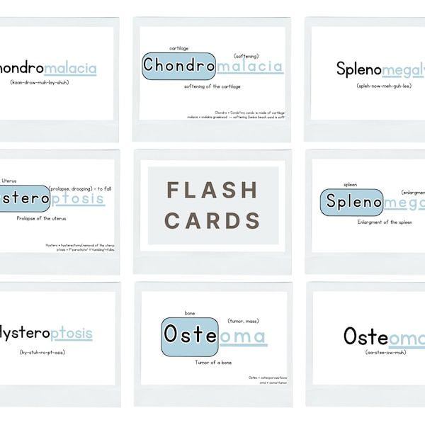 Anatomy Flashcards - Etsy