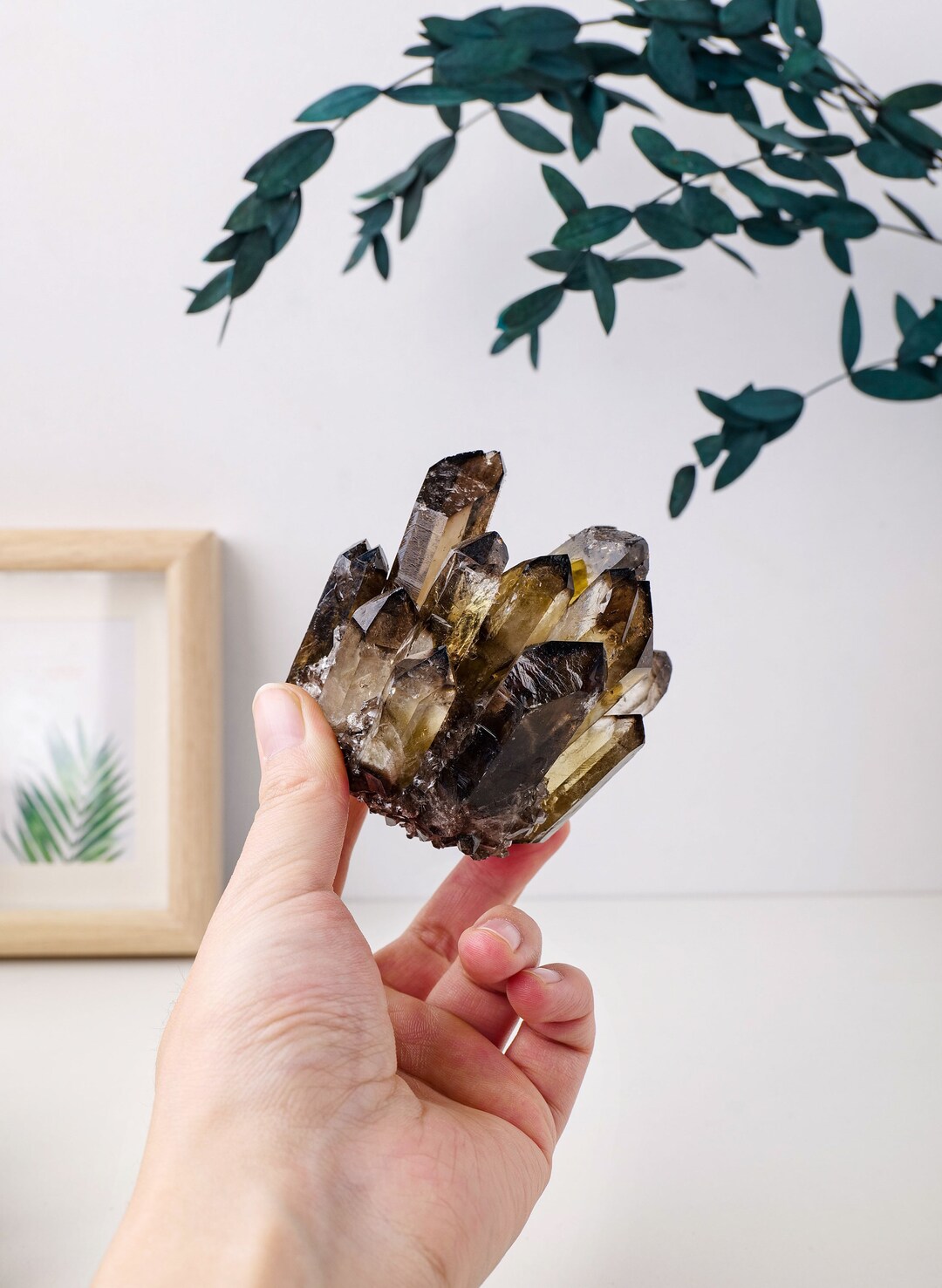 Natural Crystal Cluster Smoky Quartz Clustermineral Specimen - Etsy