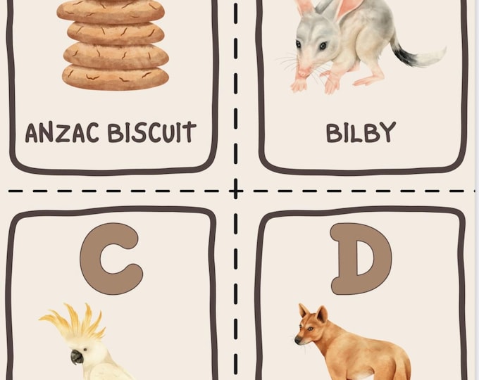 ABC Alphabet Flashcards Learning Letter Native Australian Animals Play ...