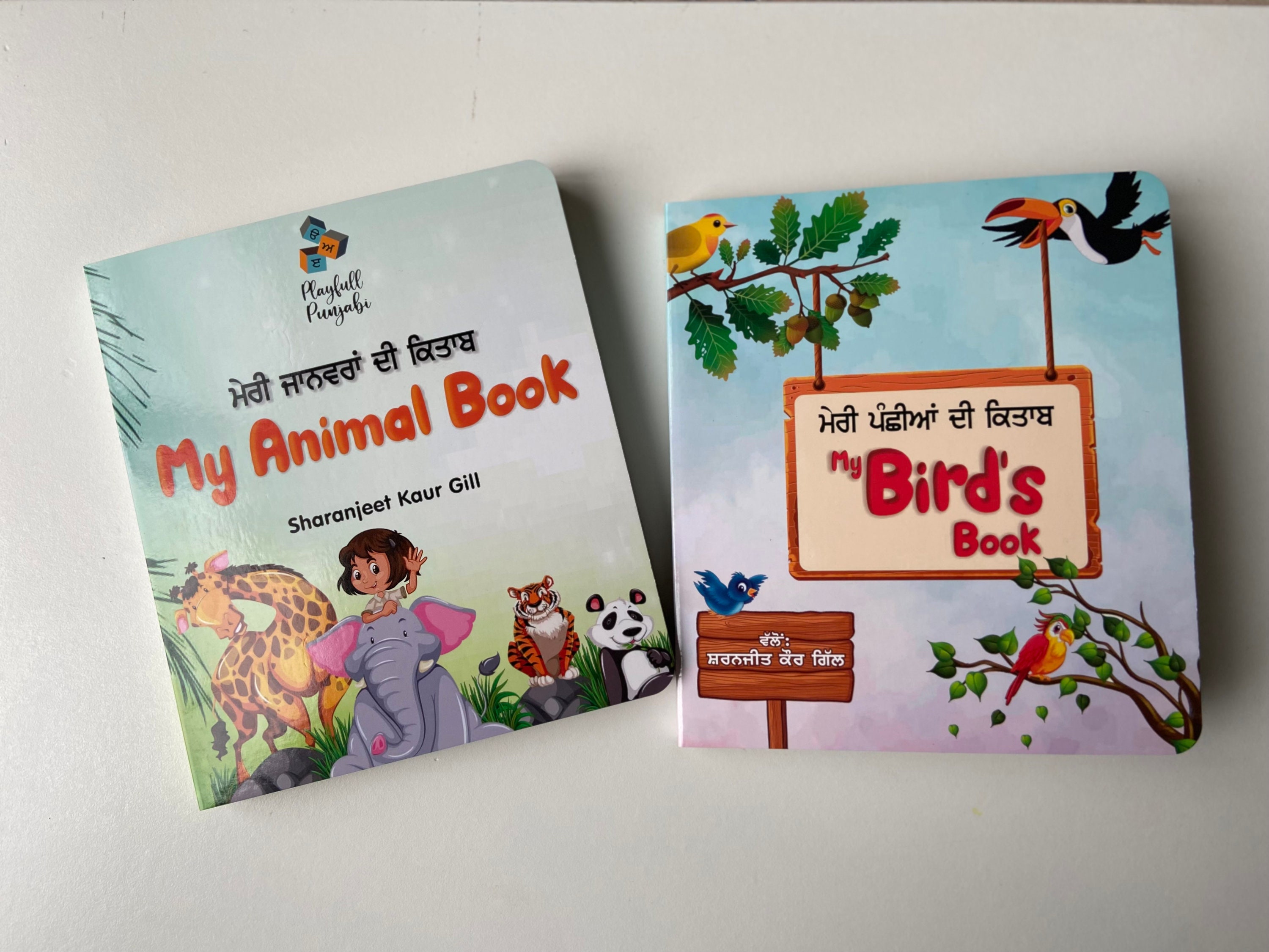 Punjabi Board Books Set I Birds & Animals Board Book I Panjabi Books ...