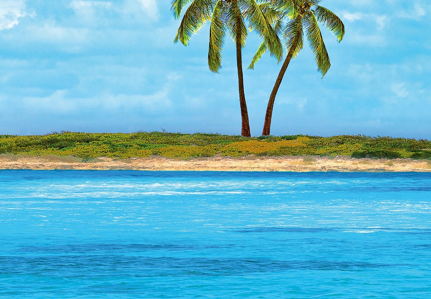 Hidden Island Wall Mural 144wx100h Removable | Tropical Beach Scenery ...