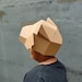 Simple Tiger Hat Cardboard Craft Template DIY Plan. Scalable PDF ...