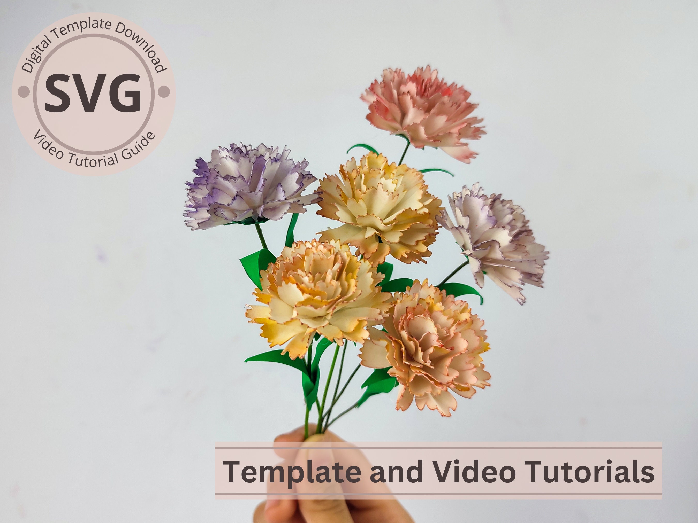 Paper Flower Carnation Template carnation & Leaves Digital SVG Video ...