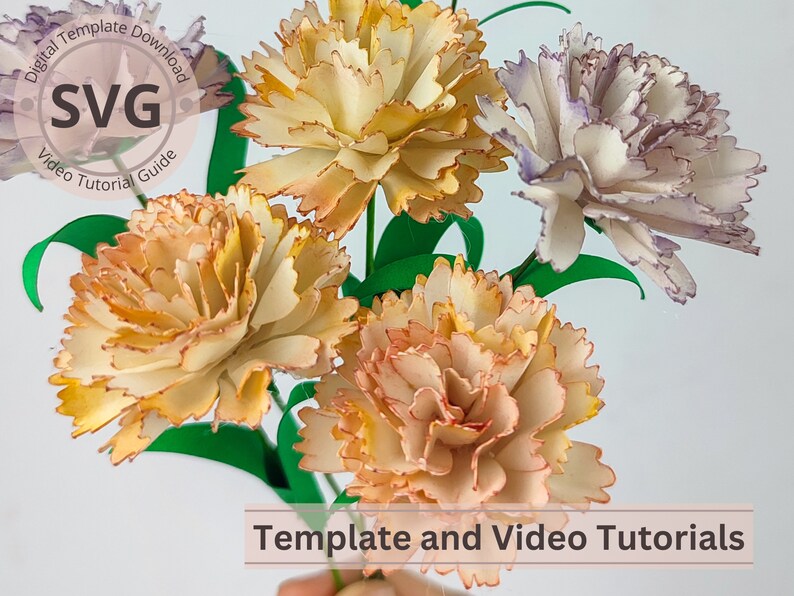 Paper Flower Carnation Template carnation & Leaves Digital SVG Video ...
