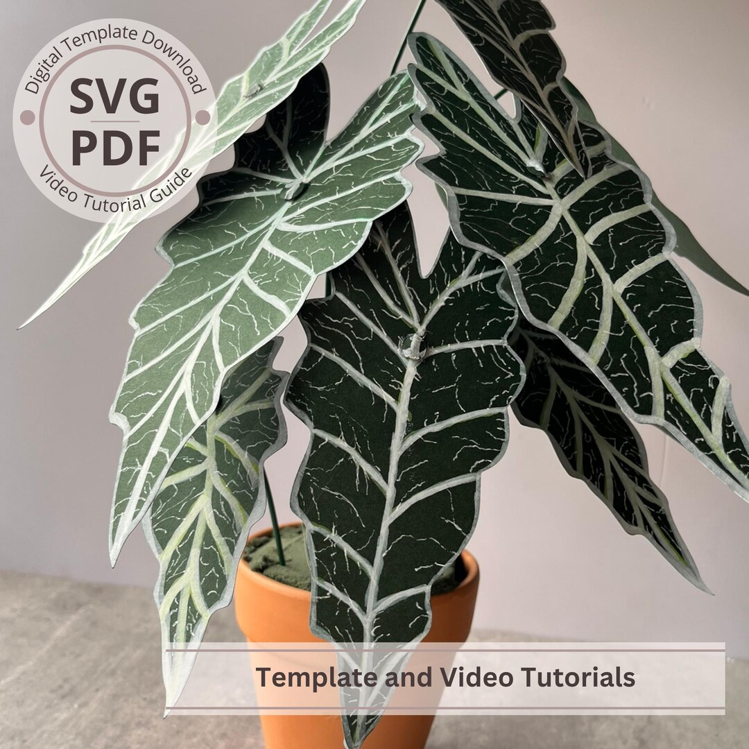 Paper Plant Template SVG and PDF | Paper Alocasia | Video Tutorial ...