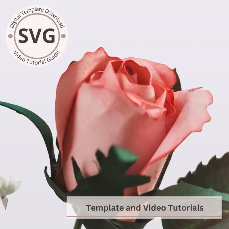 Paper Flower Rose Bud Template | Two Tone Buds Roses & Leaves Digital ...