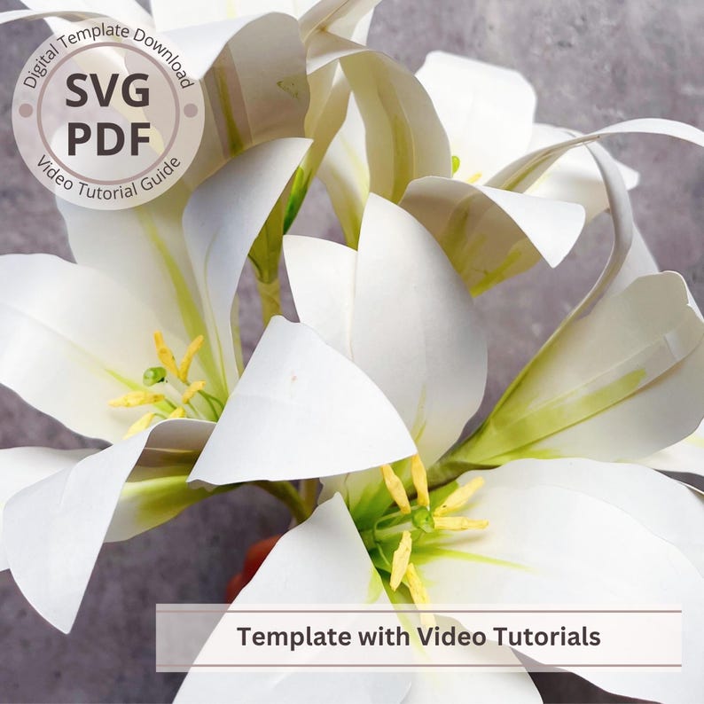 Paper Stargazer Lily Template | DIY Paper Flower SVG Cricut | Realistic ...