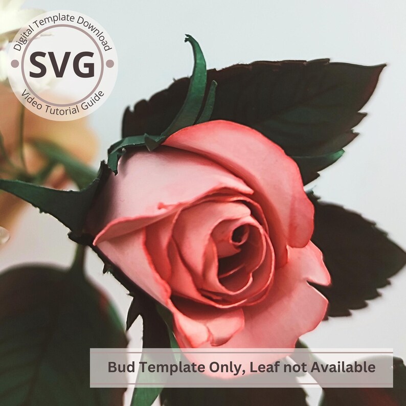 Plantilla de capullo de rosa de papel / Capullos de rosa de dos tonos ...