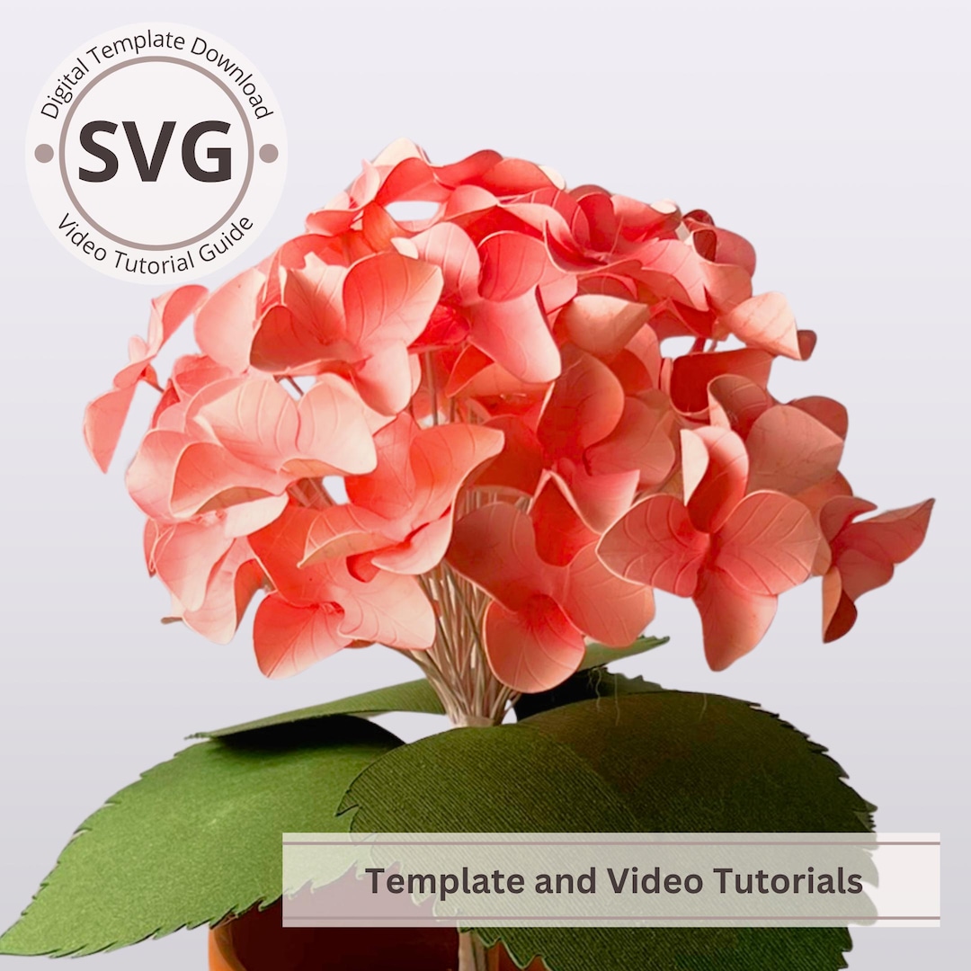 Paper Flower Hydrangeas | Hydrangea Bunch Digital | SVG | Video ...